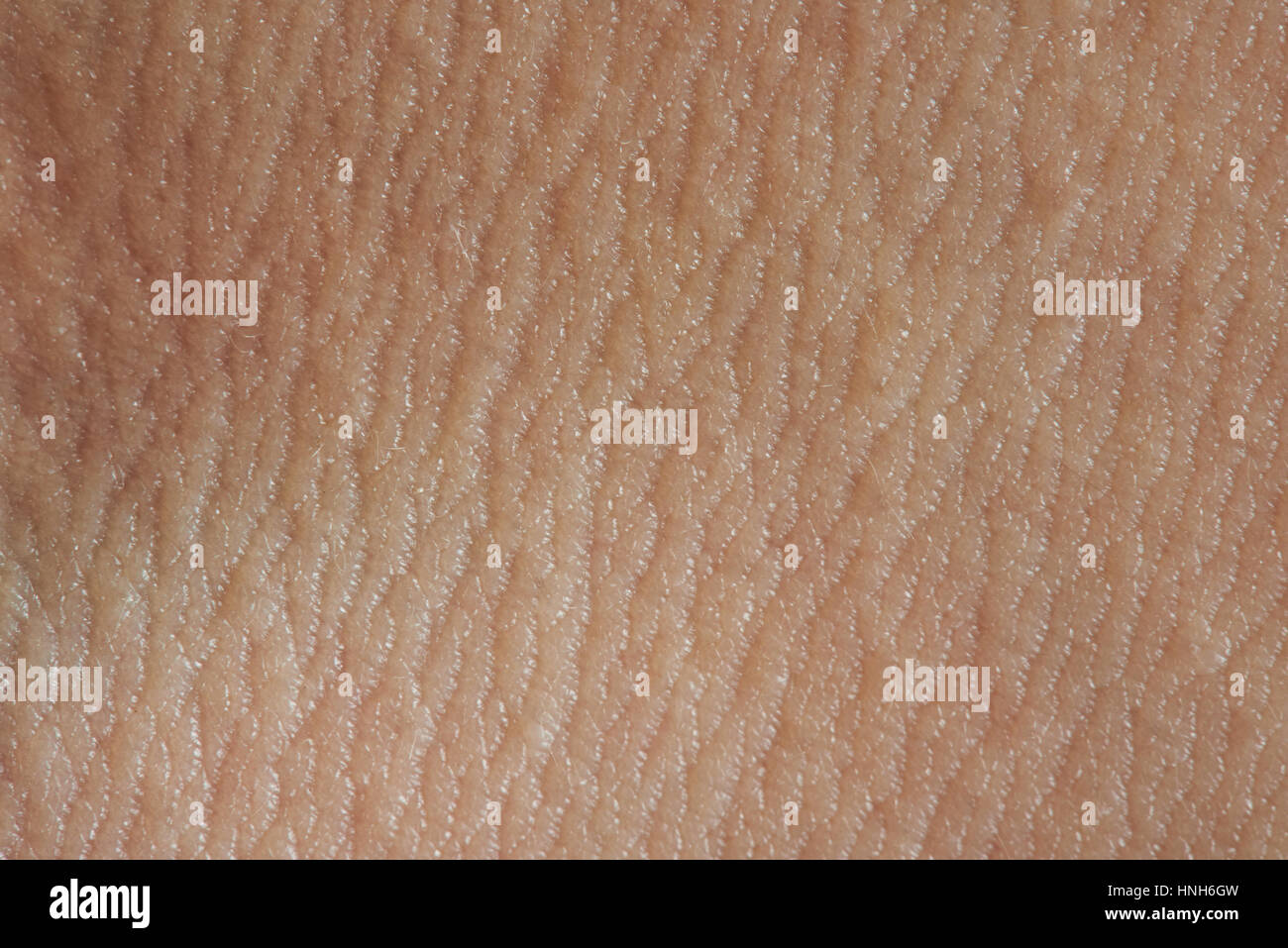 Human skin texture close up. Macro of brown young person clean skin ...