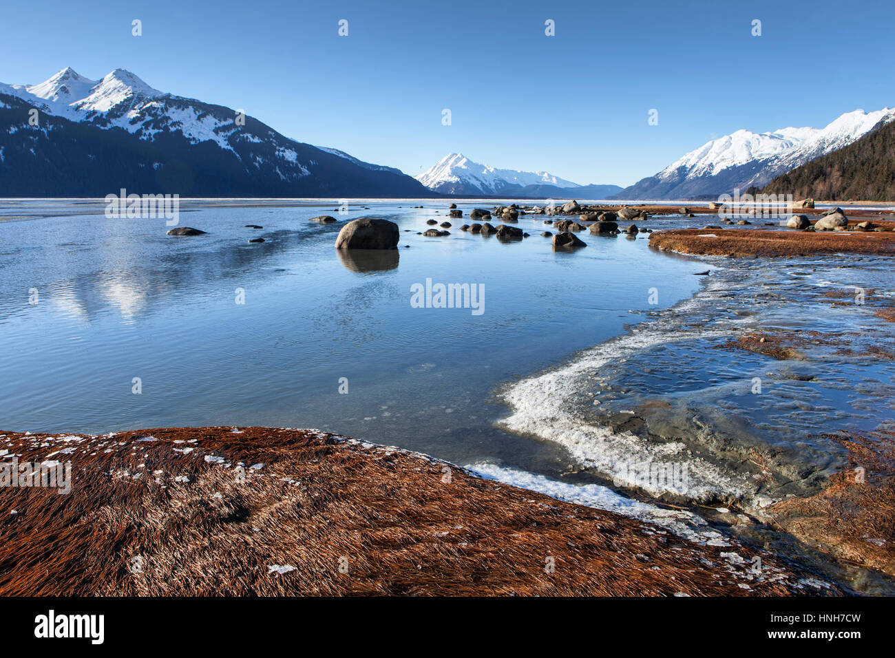 Chilkat Estuary near Haines Alaska in winter with melting ice on a ...