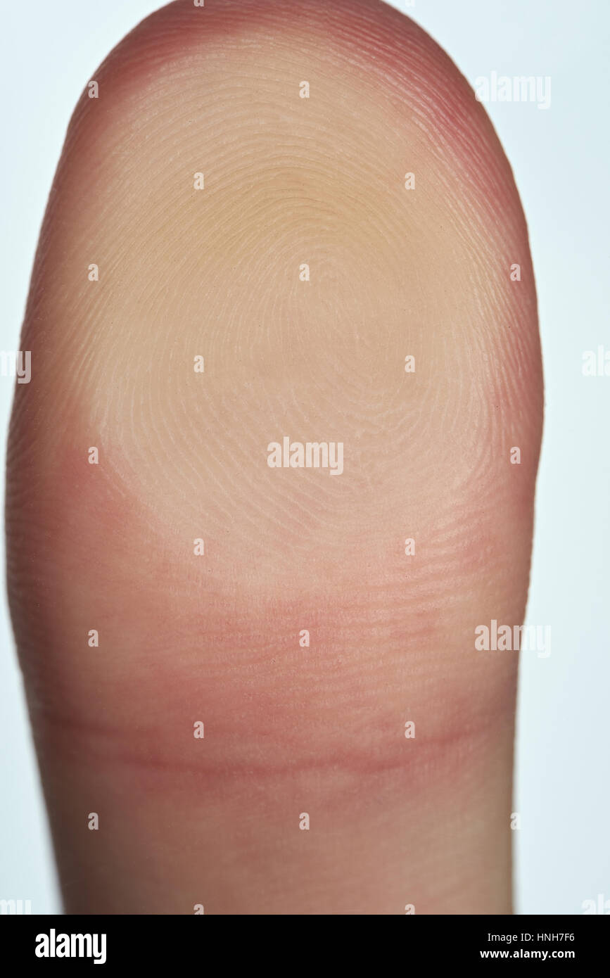 close up of lines on skin thumb isolated on white Stock Photo - Alamy