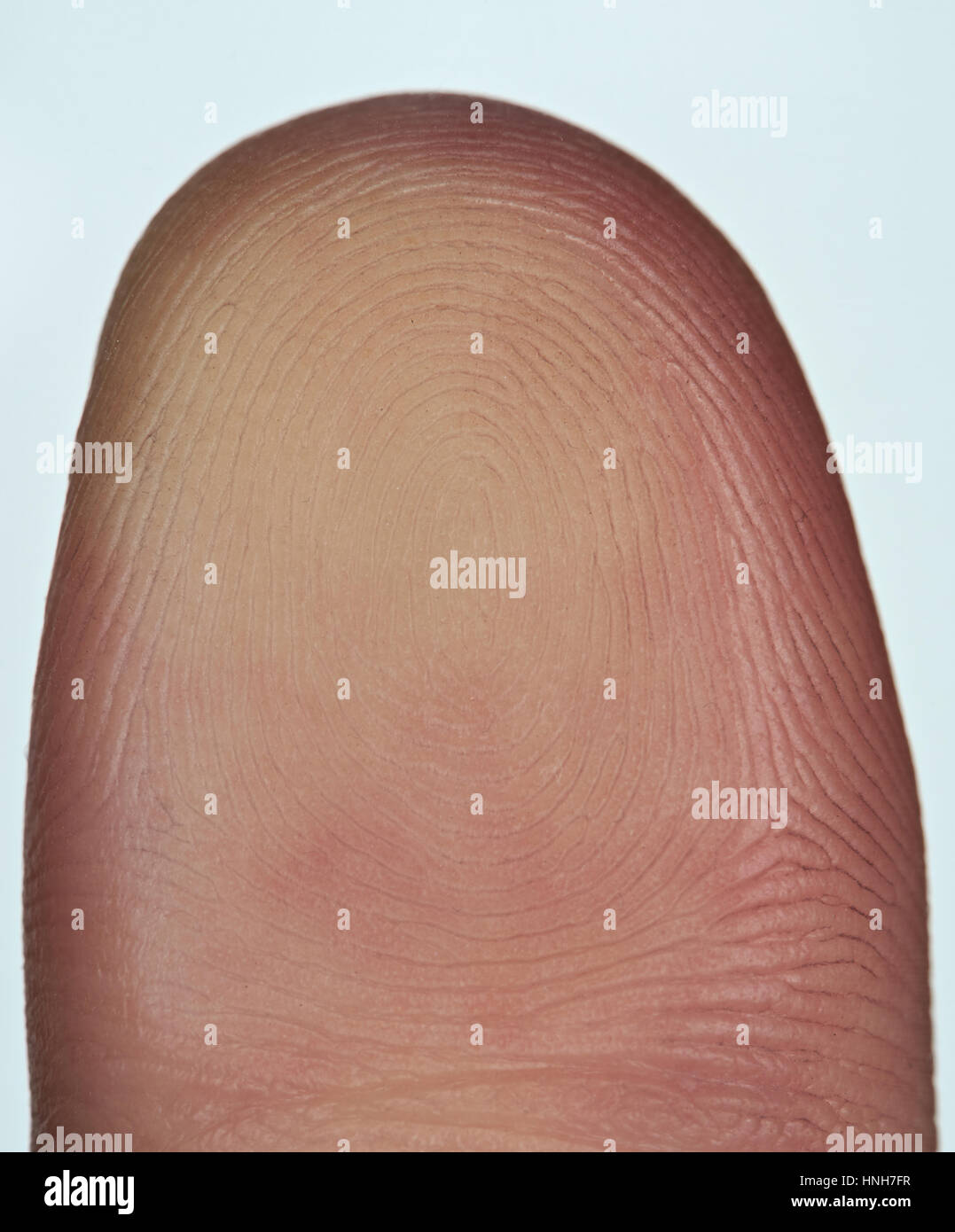 Finger print of thumb on glass isolated on white background Stock Photo ...