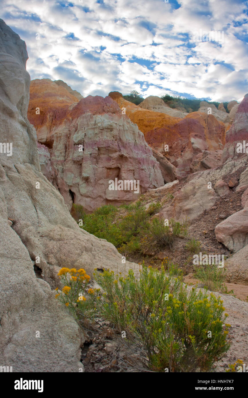 Colorful hoodoos in the Paint Mines Archeological District located in ...