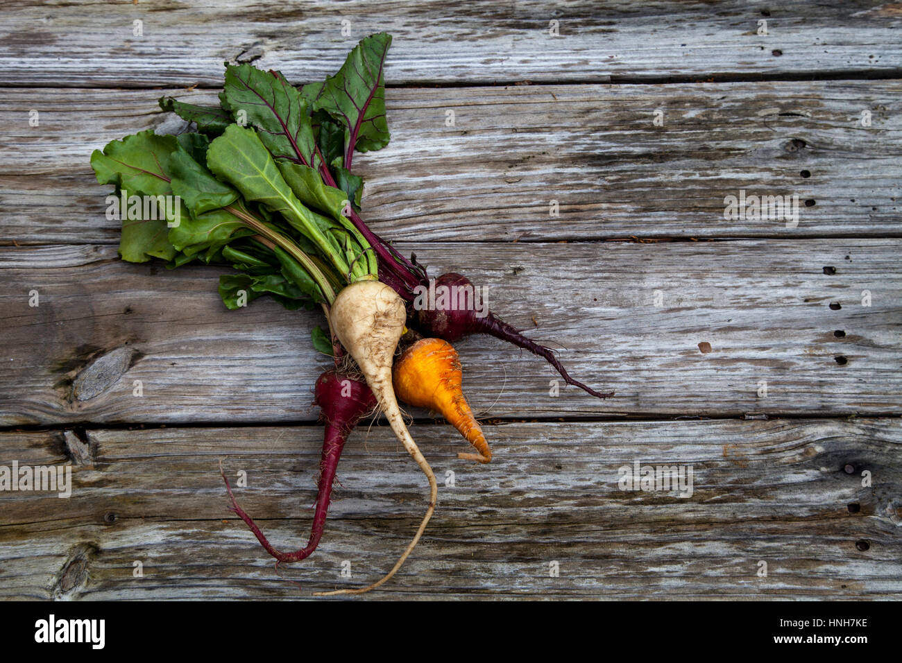 Red, orange and yellow beets vegetable bushel on a rustic wood farm ...