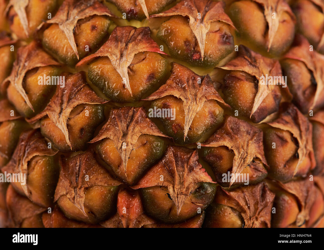 Close up of pine apple brown skin texture. Macro of pine apple Stock ...