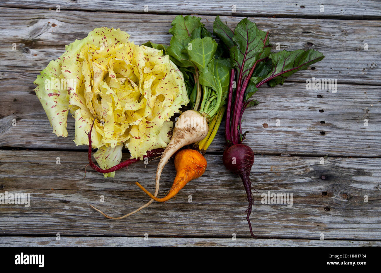 Castelfranco radicchio hi-res stock photography and images - Alamy