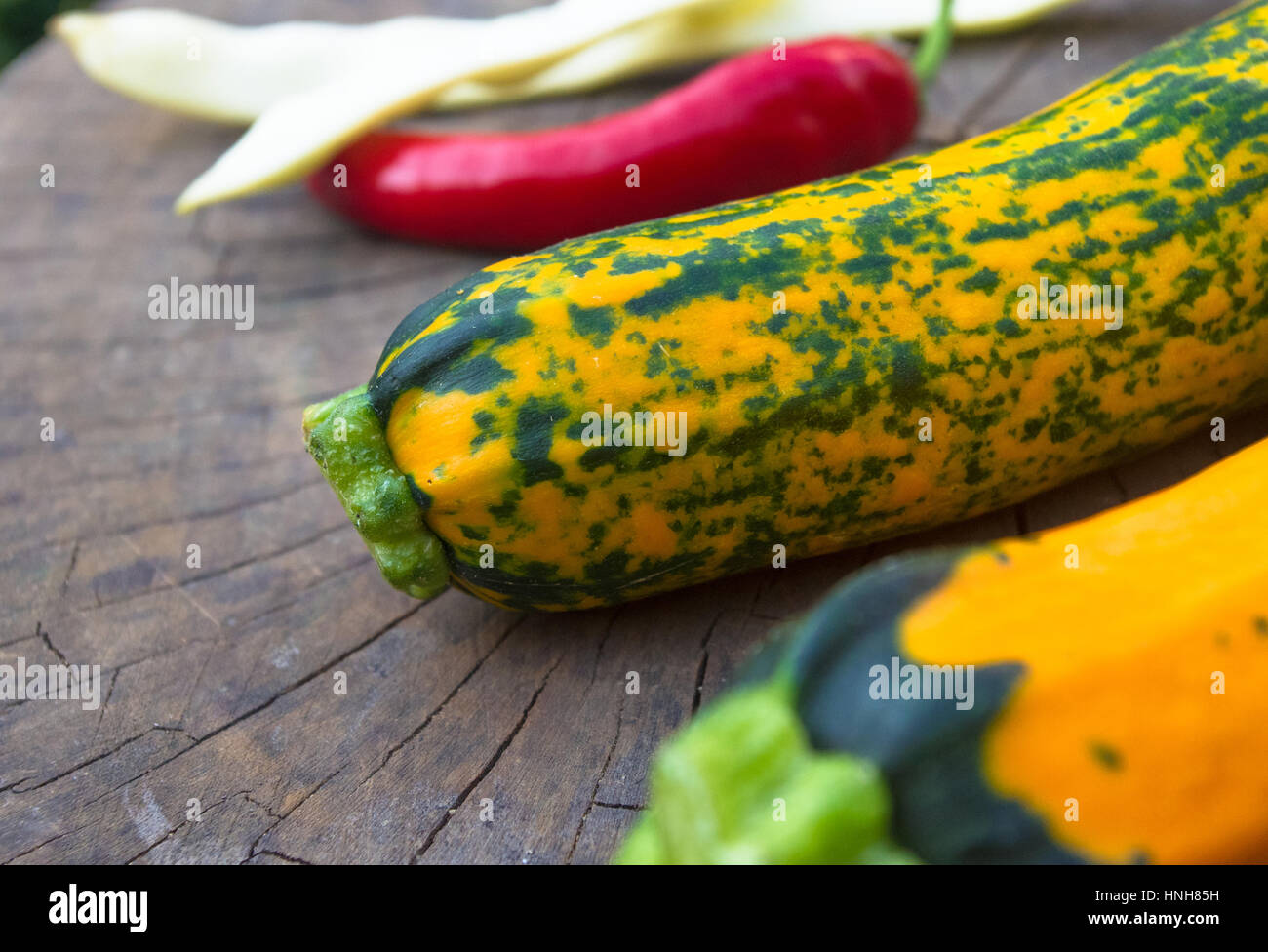 unusual green-orange zucchini, pods of white beans and red chilly on an ...