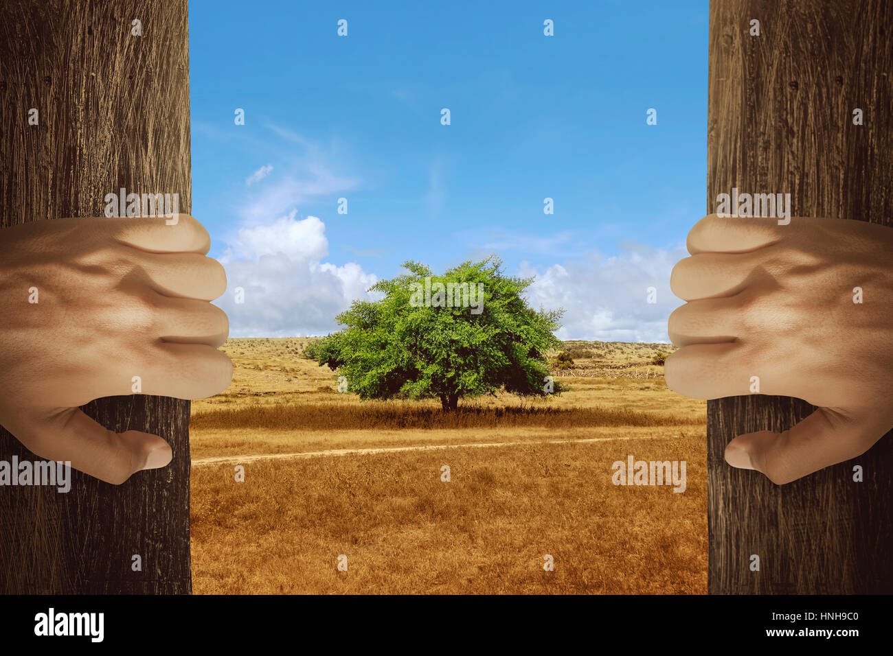 Two hands opening wooden door with tree on the changing environment ...