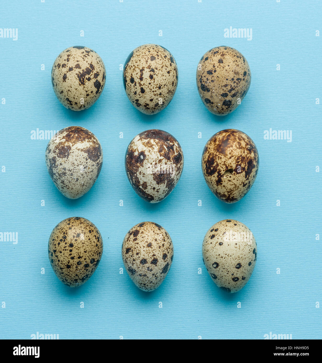 Collection of quail eggs on the blue background Stock Photo - Alamy