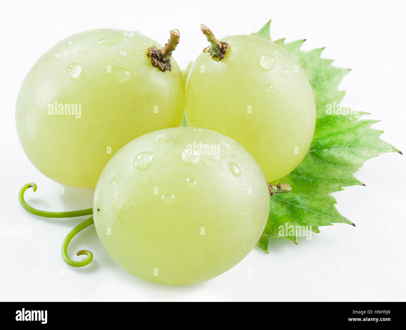Three grapes with small leaf on the white background Stock Photo - Alamy