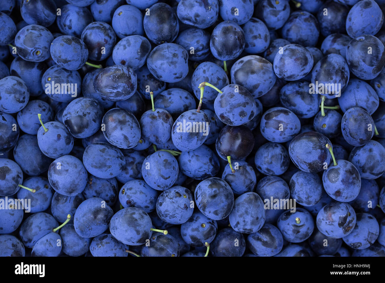 Ripe Plums Background Stock Photo - Alamy