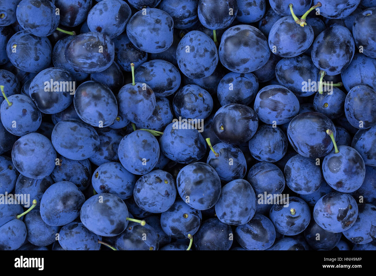 Ripe Plums Background Stock Photo - Alamy