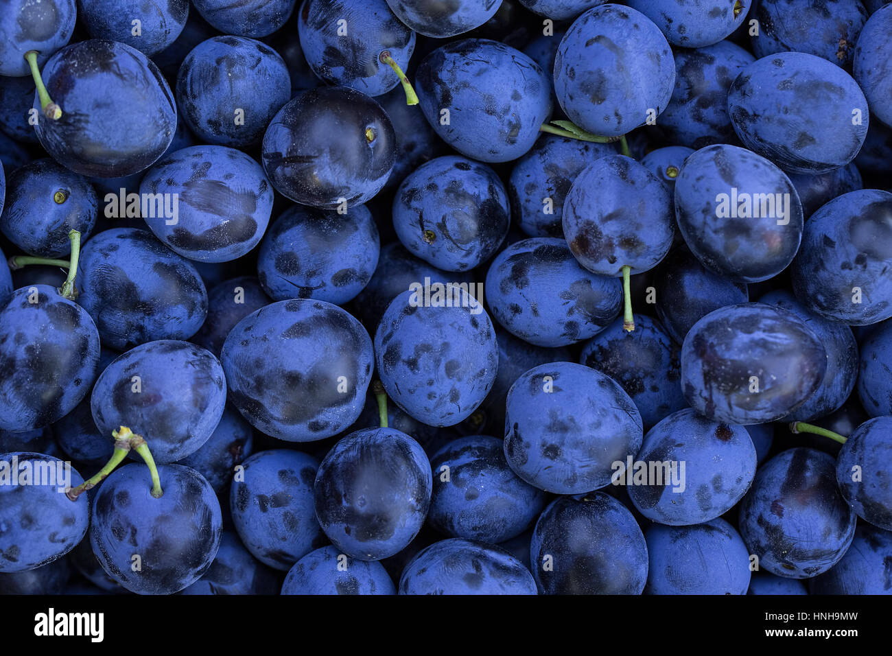 Ripe Plums Background Stock Photo - Alamy