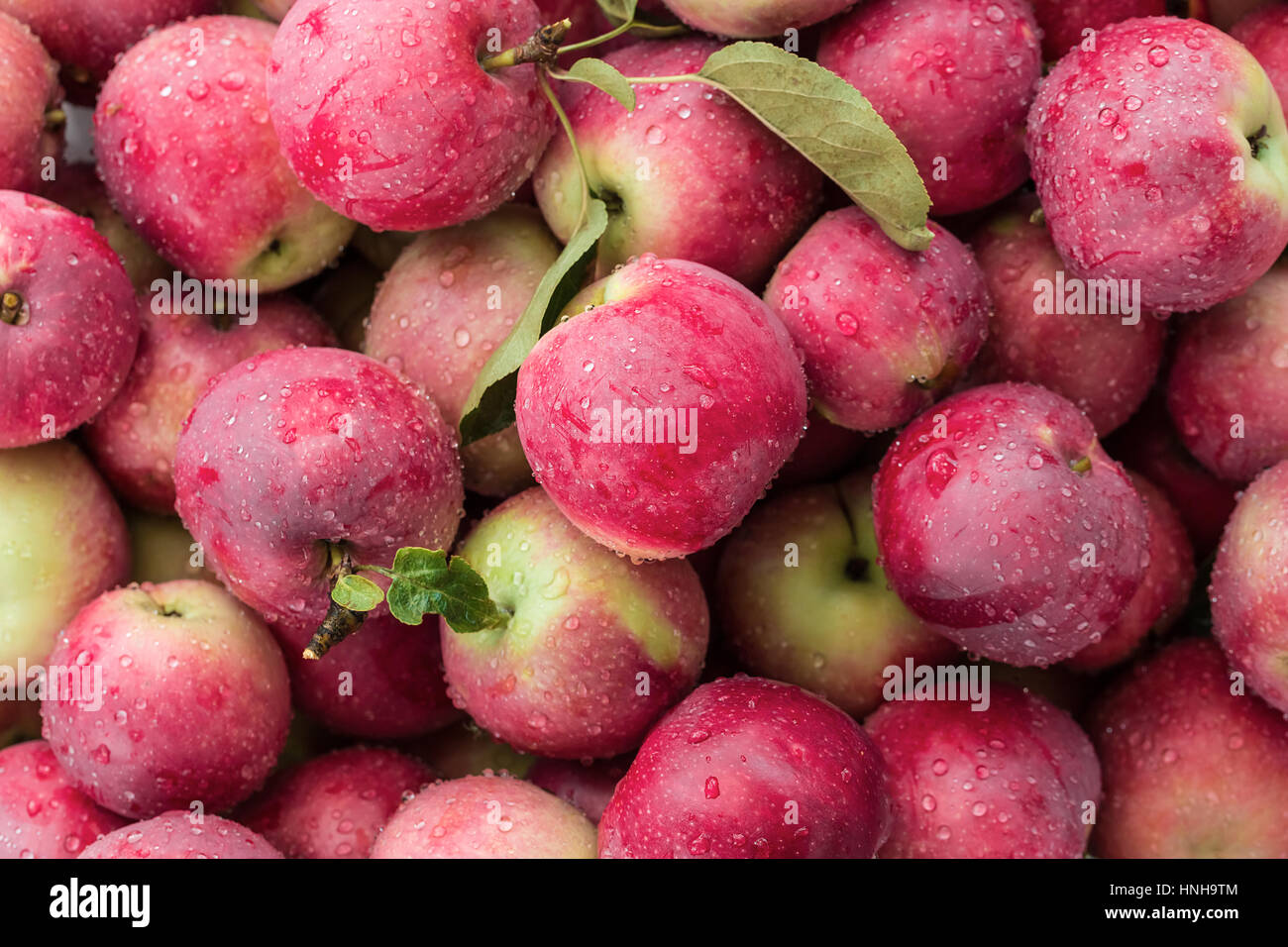 Red apples background Stock Photo - Alamy