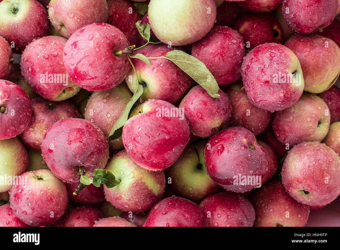 Red apples background Stock Photo - Alamy