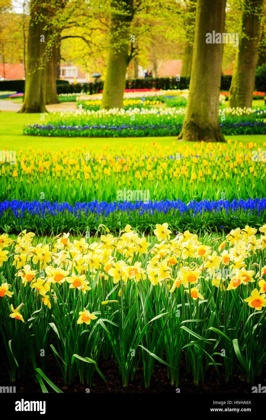 Formal spring garden Stock Photo - Alamy