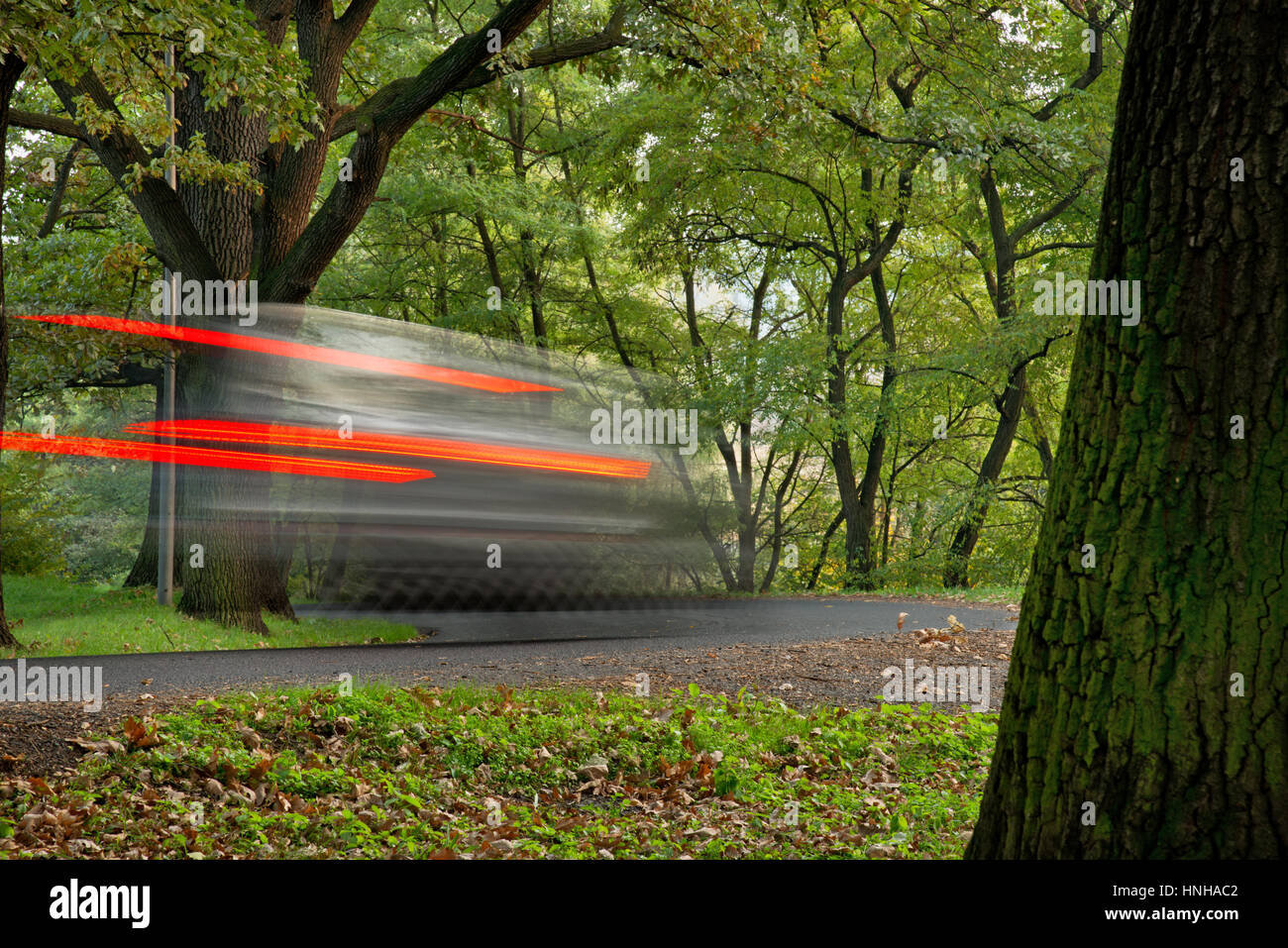 Fast going car in the park with trunk of tree Stock Photo - Alamy