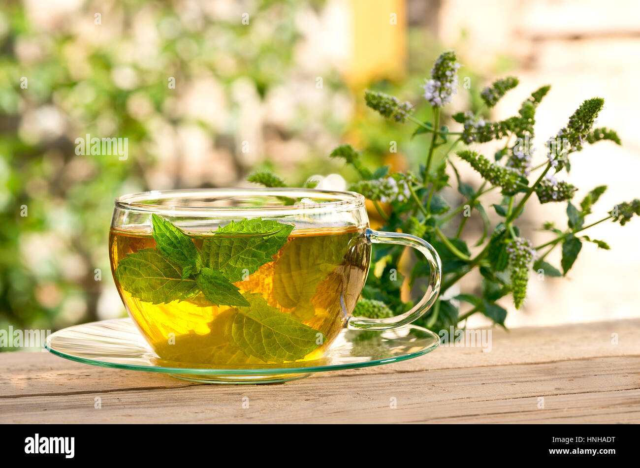 Detail of cup of tea with peppermint plant Stock Photo - Alamy