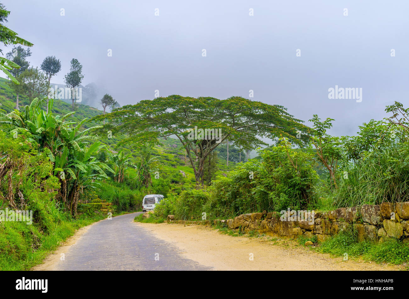 Lipton tea factory hi-res stock photography and images - Alamy