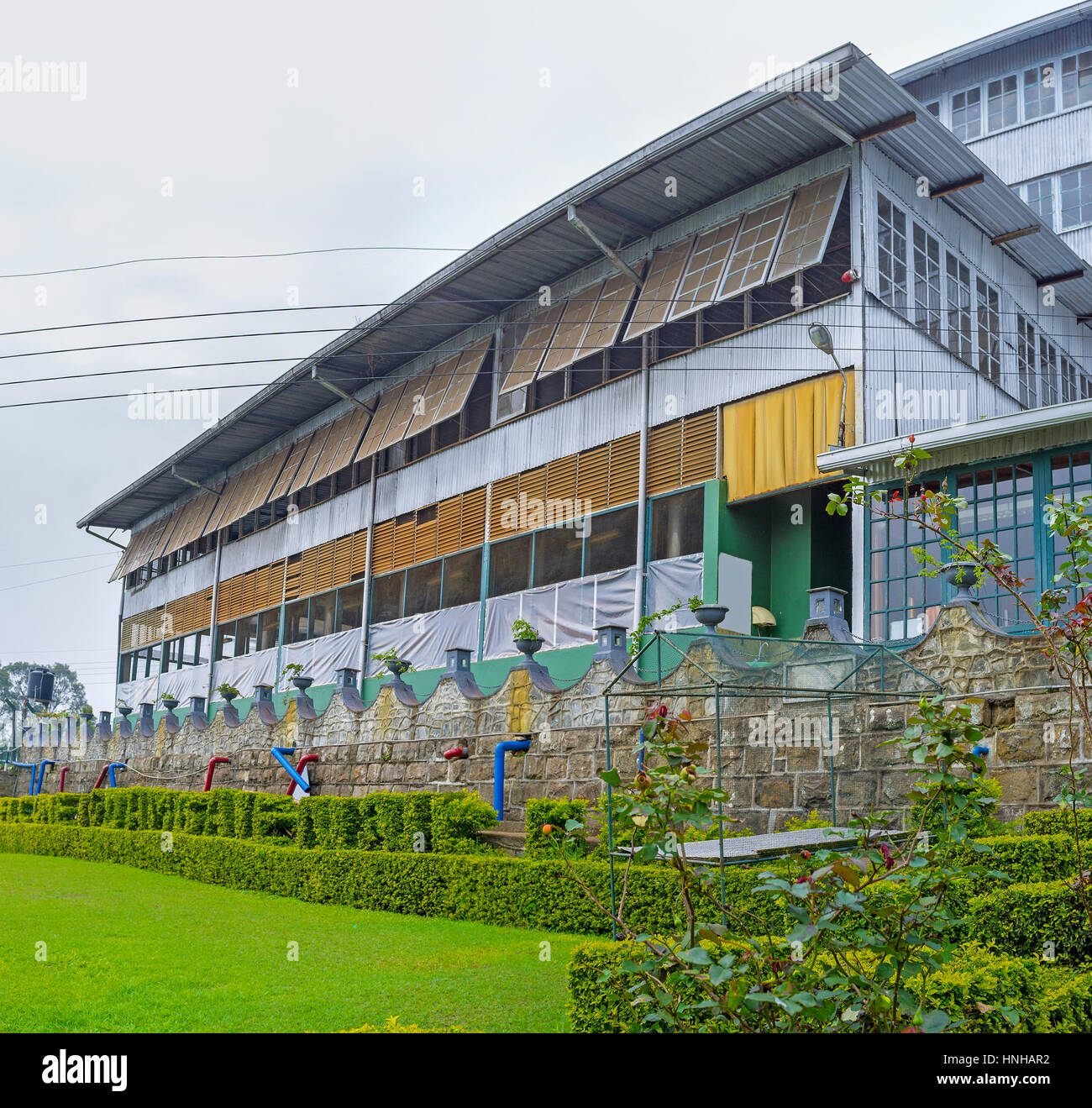 Lipton tea hi-res stock photography and images - Alamy