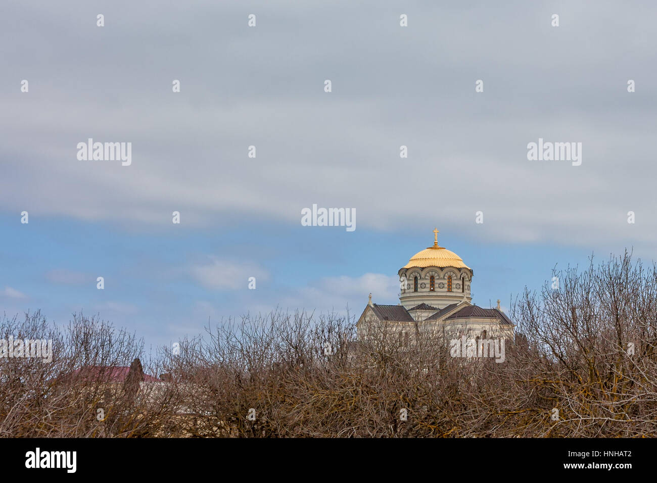 Ruins of ancient basilica basement and lonely tree in Chersonesus ...
