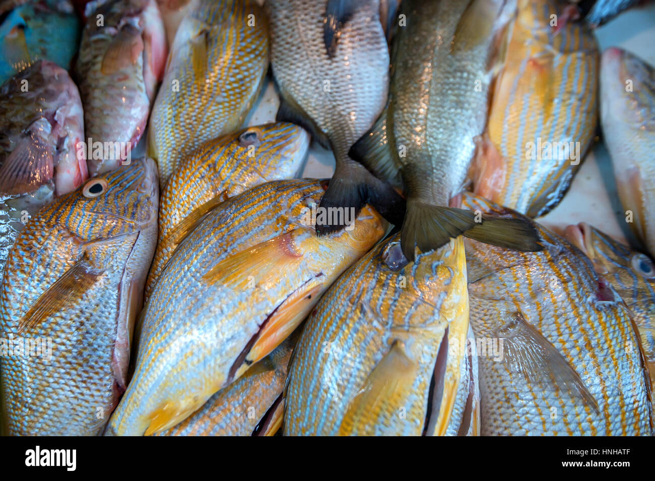 Fresh raw sea fish and sea food market in Dominican Republic near ...