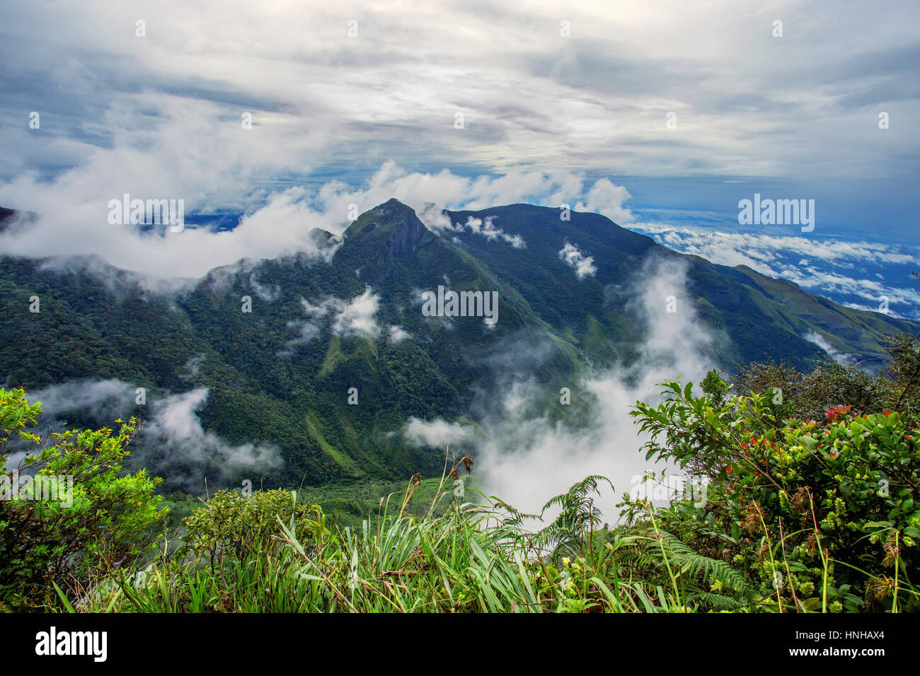 Landscape with tropical forest viewed from End of the World viewpoint ...