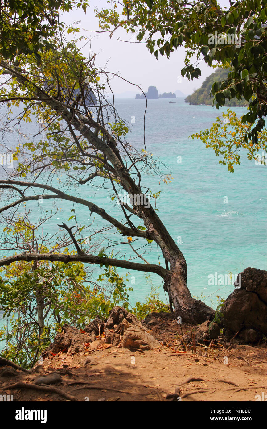 View through trees to tropical blue sea, Thailand Stock Photo - Alamy