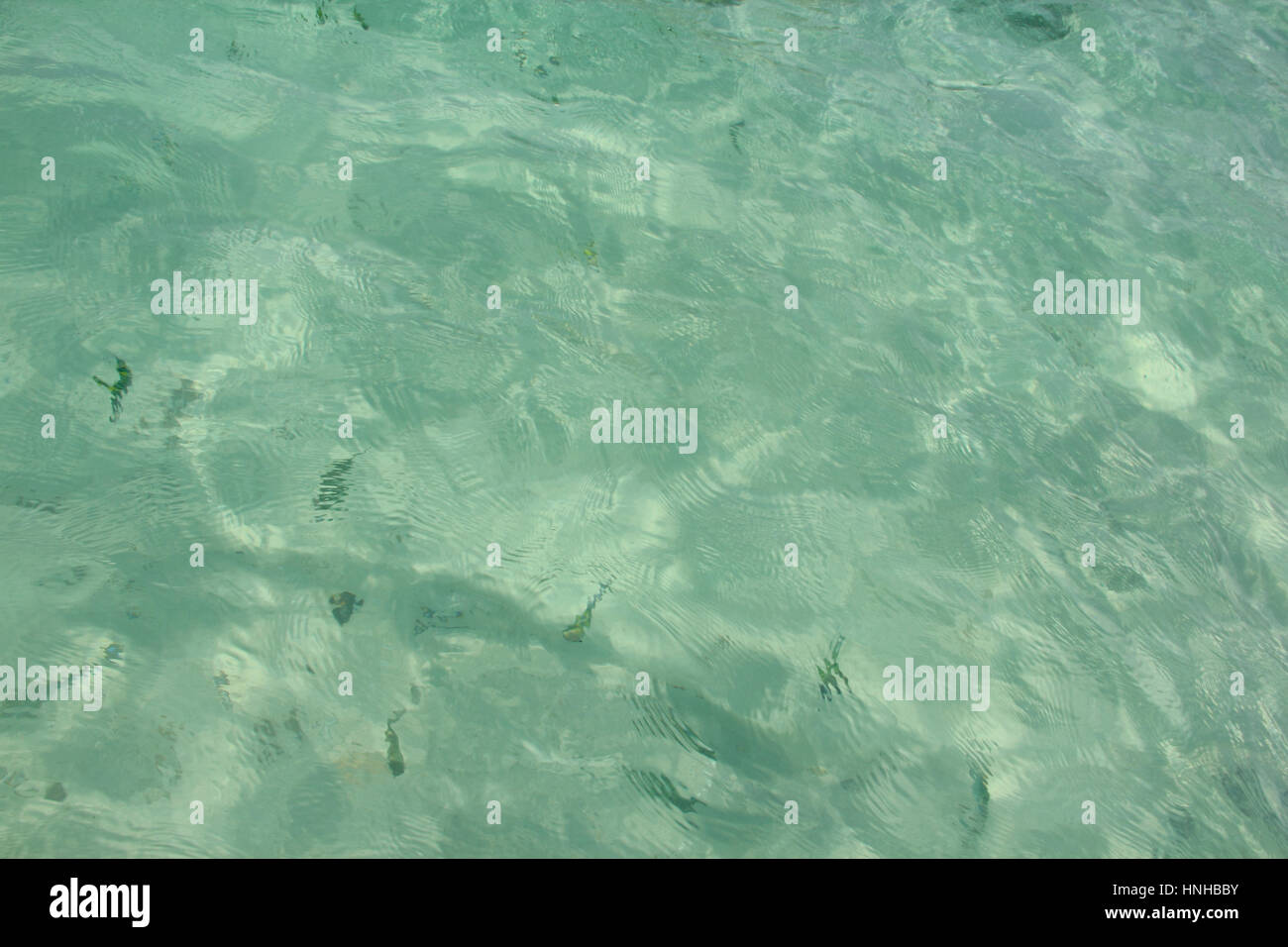 Tropical fish in crystal clear blue ocean water in Thailand from above ...