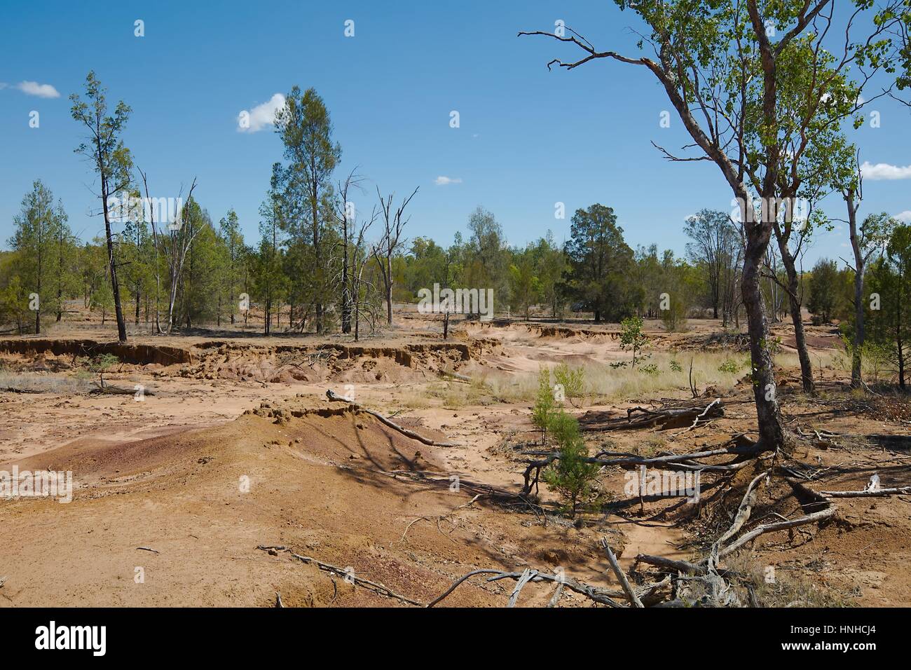 Australian landscape damaged hi-res stock photography and images - Alamy
