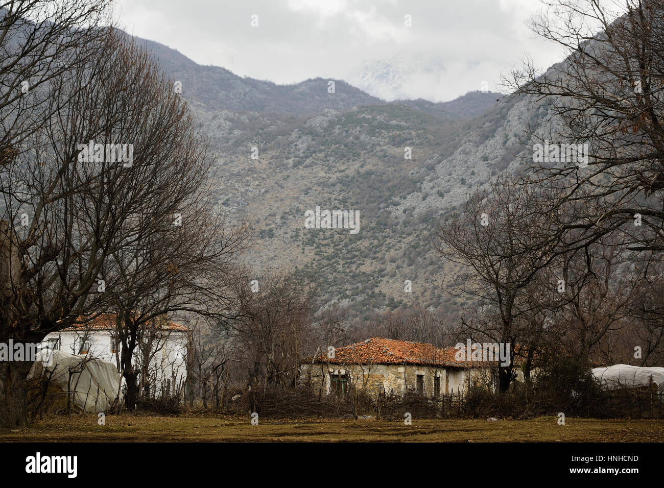 Old rural houses surrounded by wild nature Stock Photo - Alamy