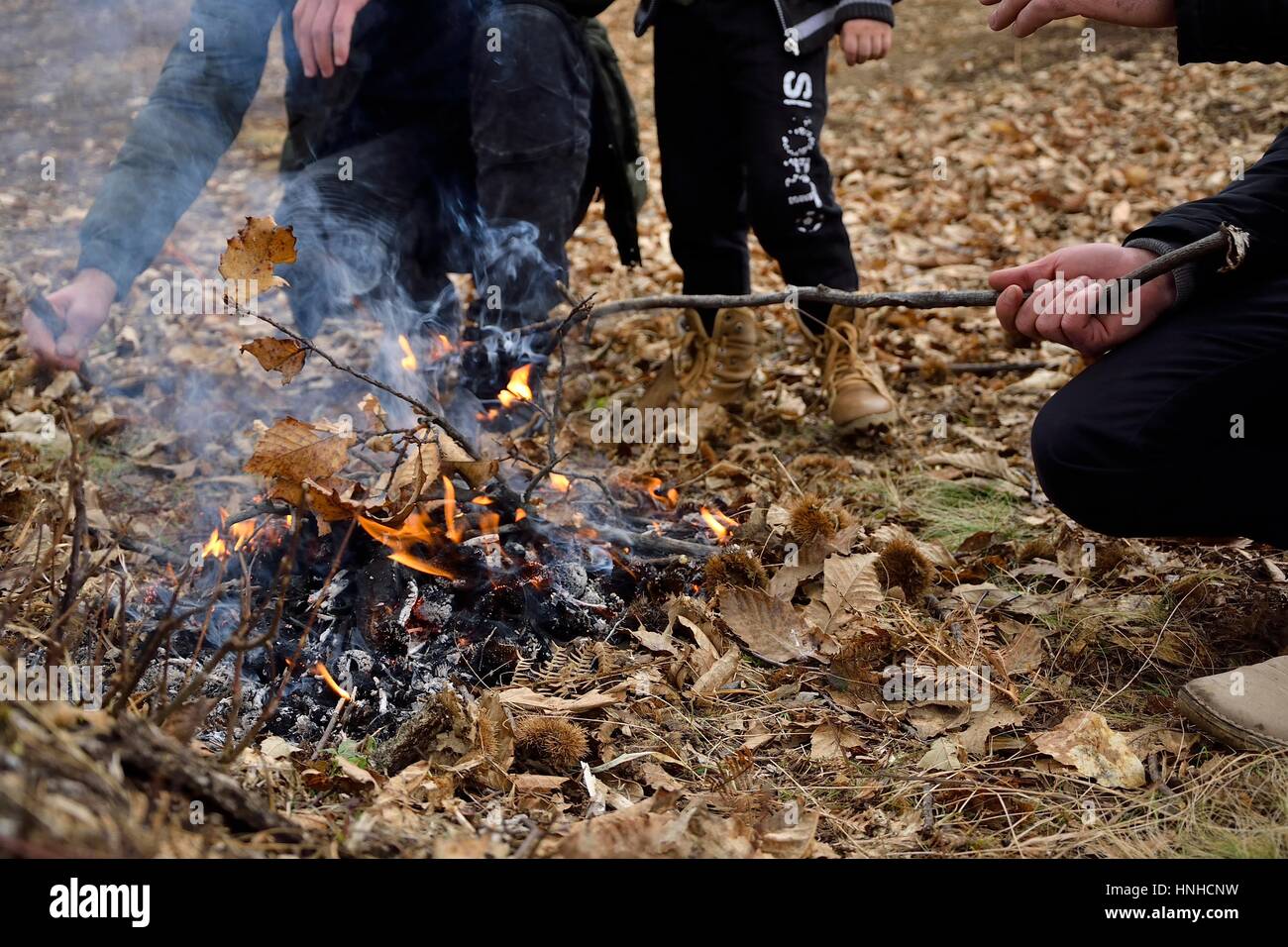Group of people around the fire in the forest Stock Photo - Alamy