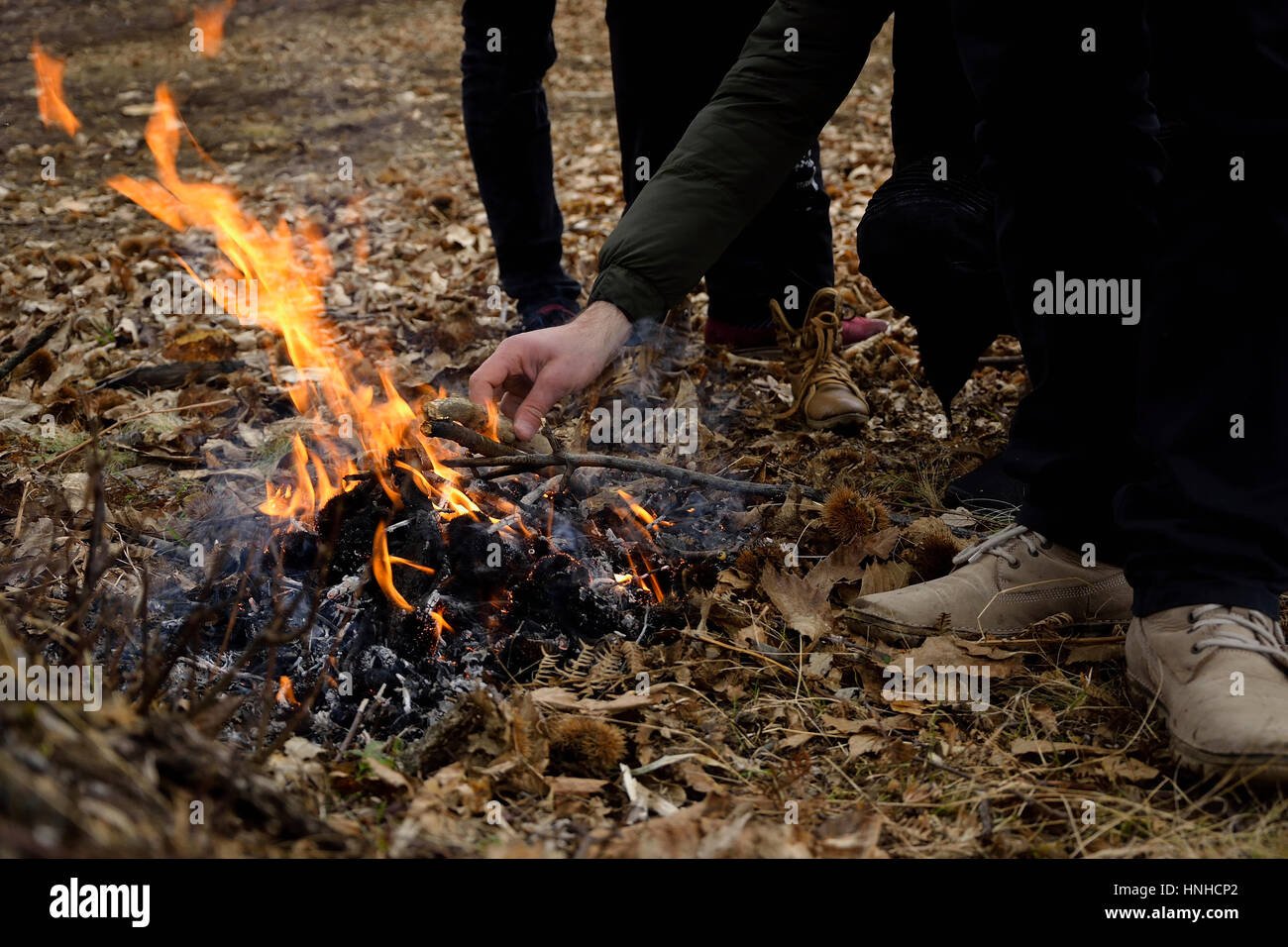 Group of people around the fire in the forest Stock Photo - Alamy