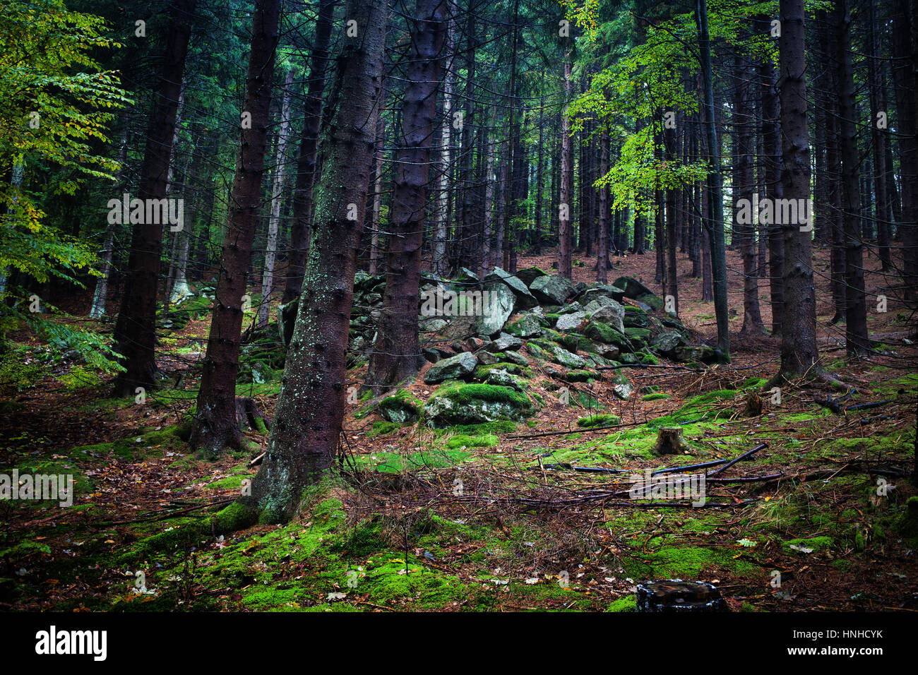Pile of rocks and boulders in mountain forest Stock Photo - Alamy
