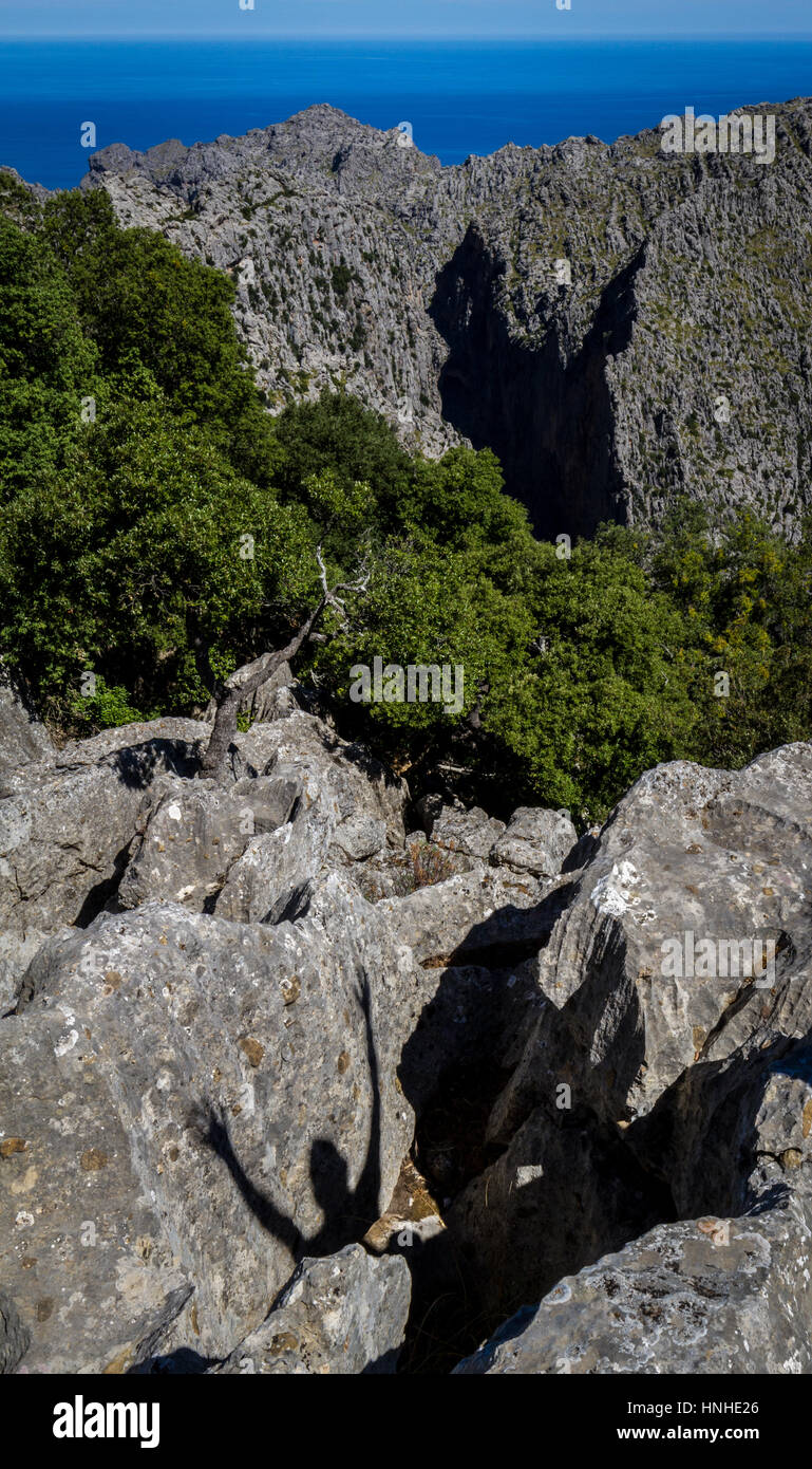 shadow of man looking at rocks on montain with arms up Stock Photo - Alamy