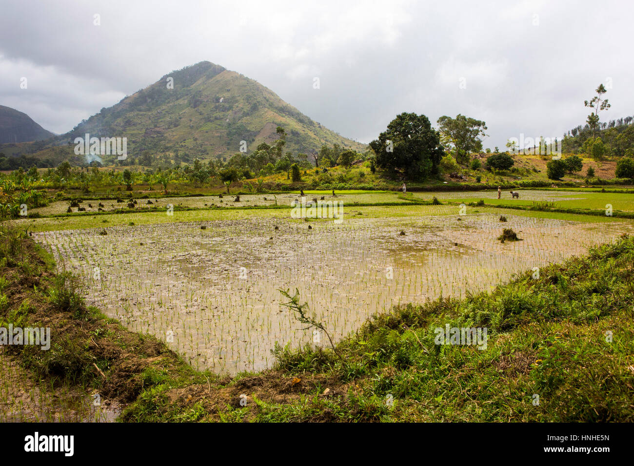 Living and working in communities hi-res stock photography and images ...