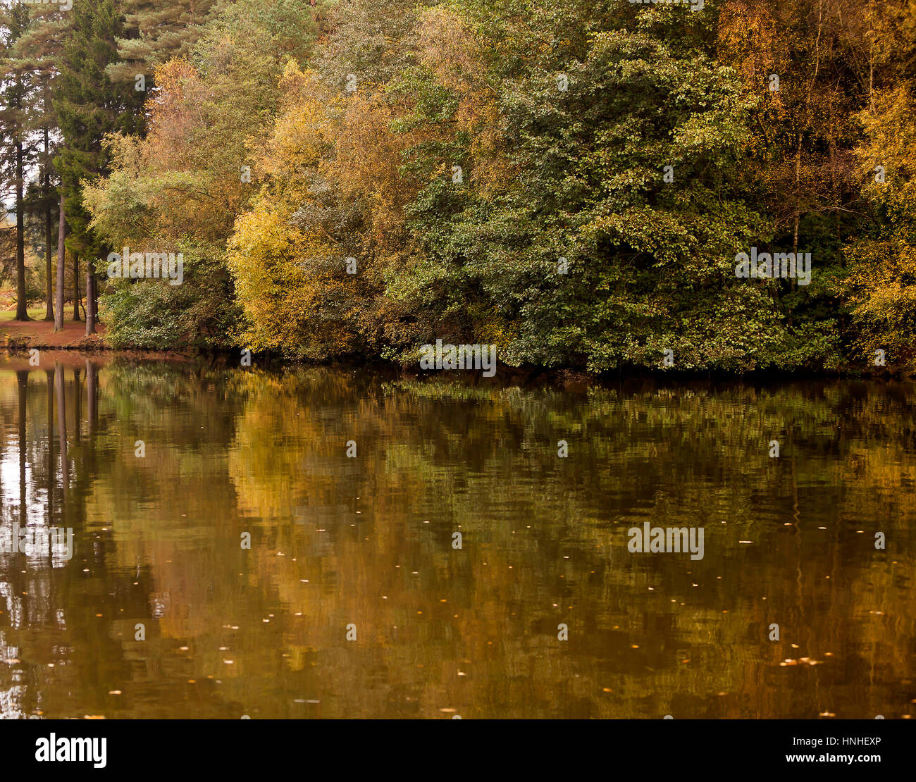 Mallards pike in forest dean hi-res stock photography and images - Alamy