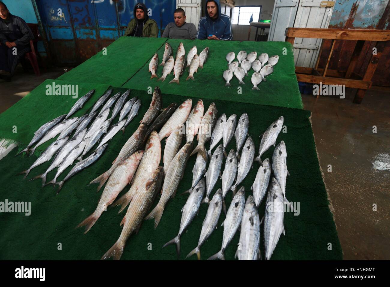 Gaza City, Gaza Strip, Palestinian Territory. 14th Feb, 2017. A ...