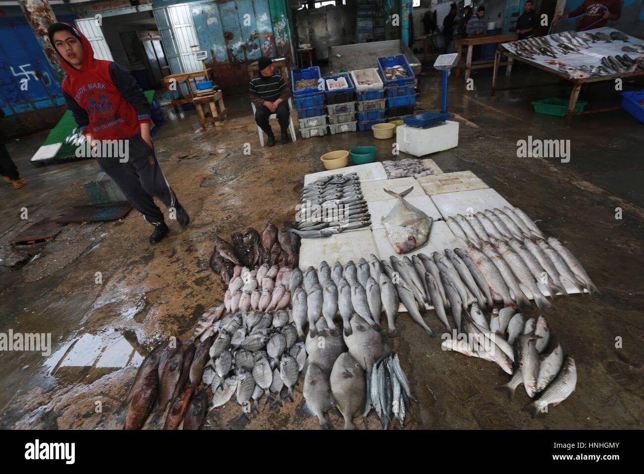 Gaza City, Gaza Strip, Palestinian Territory. 14th Feb, 2017. A ...