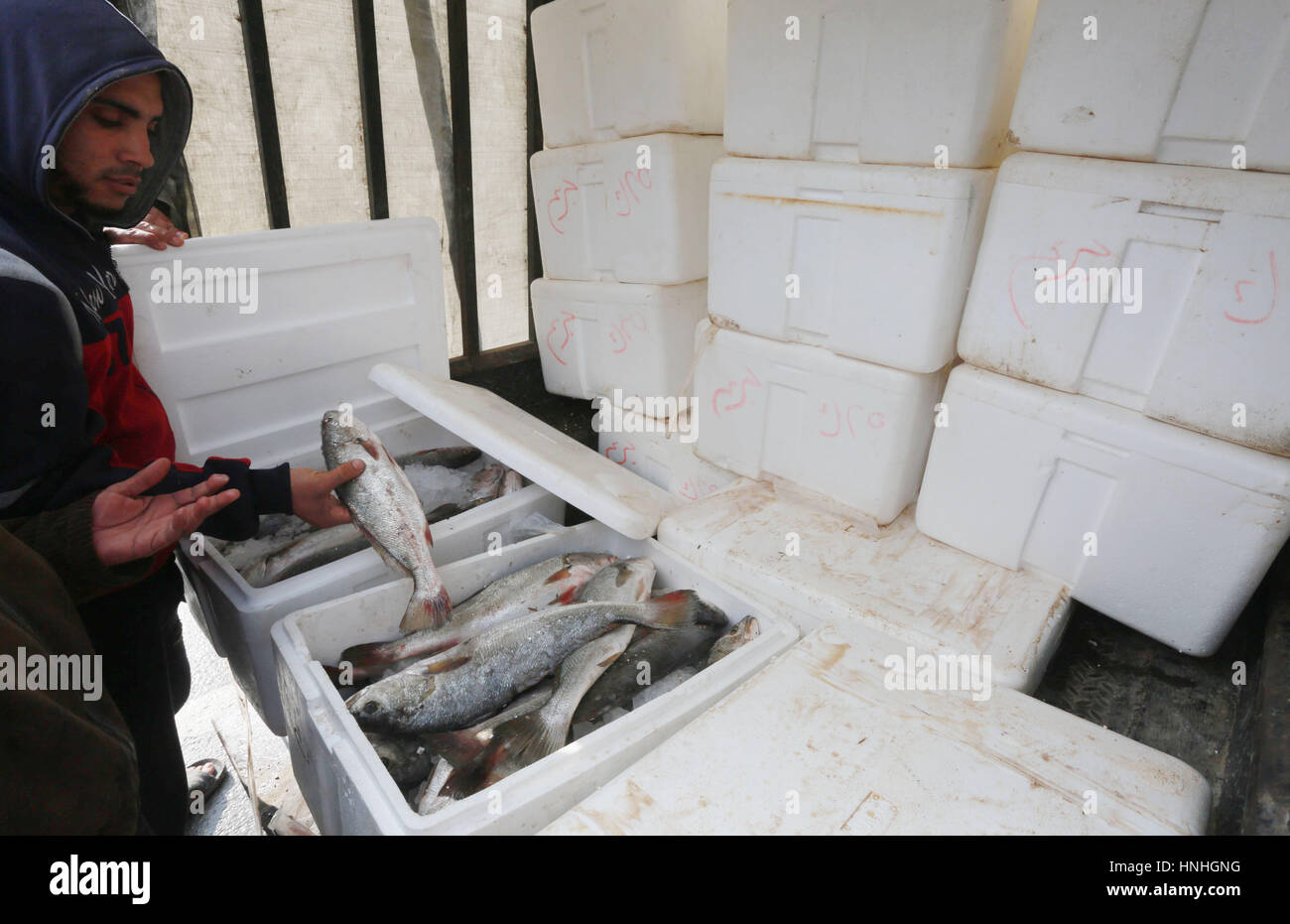 Gaza City, Gaza Strip, Palestinian Territory. 14th Feb, 2017. A ...