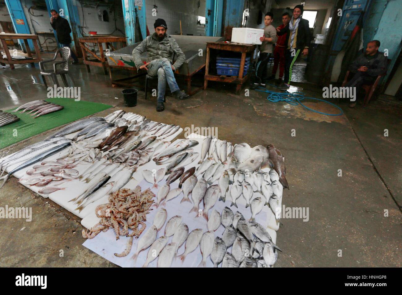 Gaza City, Gaza Strip, Palestinian Territory. 14th Feb, 2017. A ...