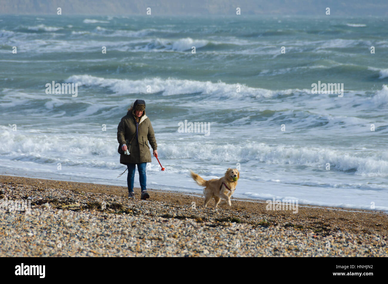 Dog beach strong winds hi-res stock photography and images - Alamy