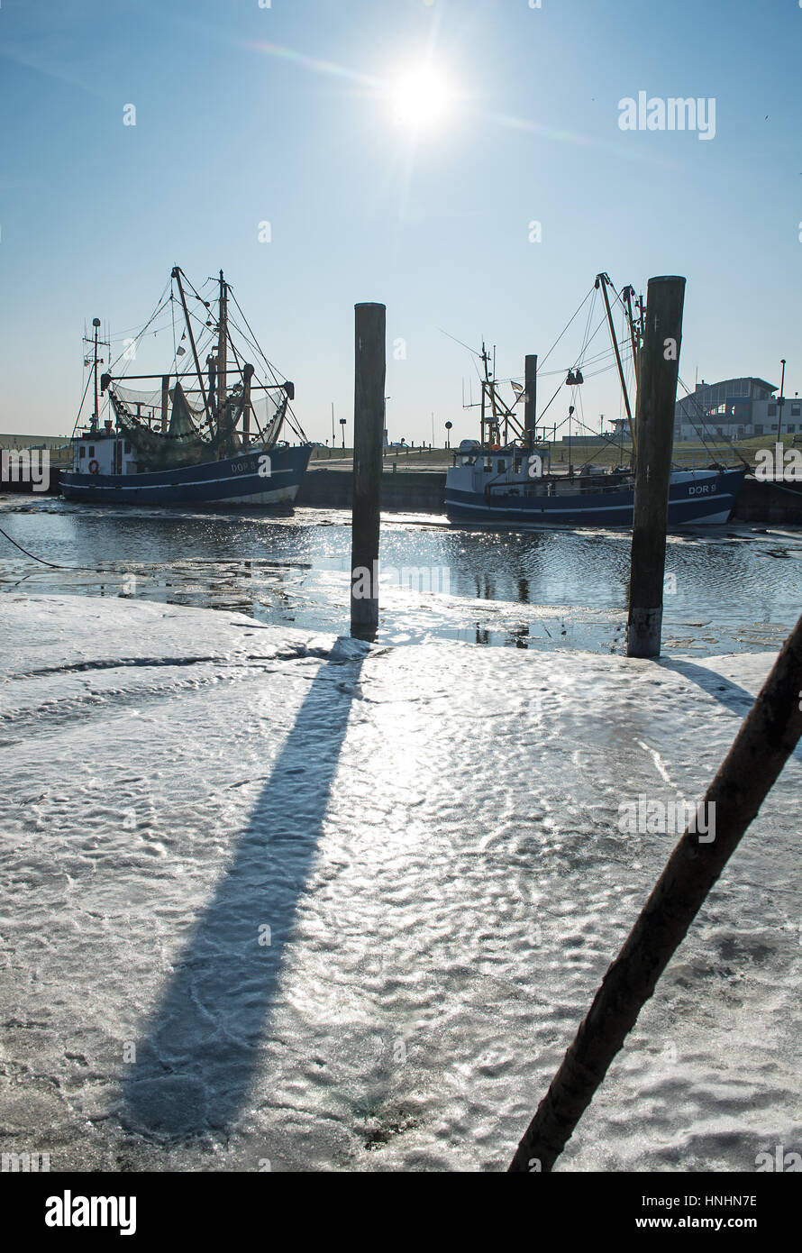 Dorum-Neufeld, Germany. 13th Feb, 2017. View of the melting ice during ...