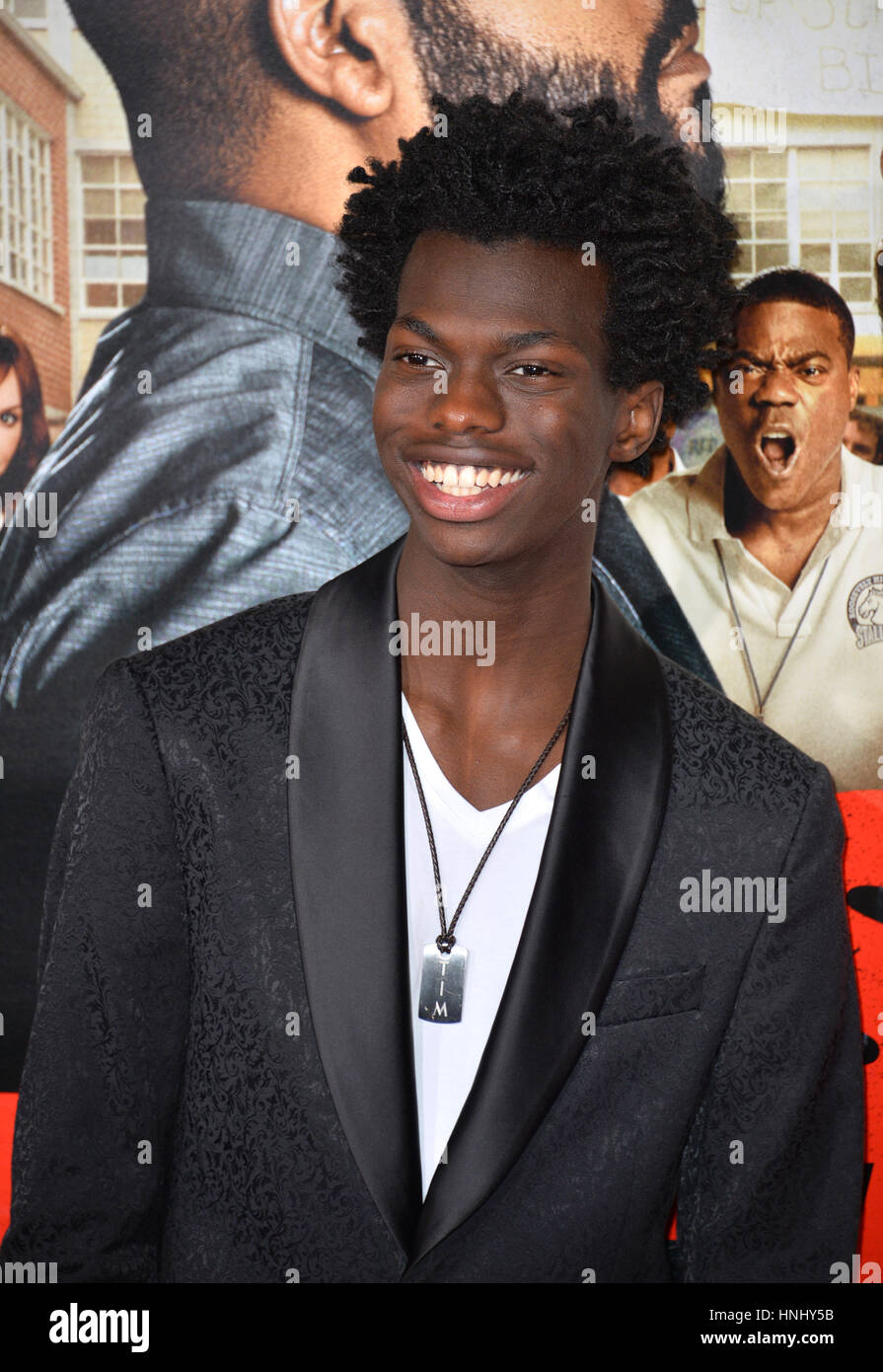 Los Angeles, USA. 13th Feb, 2017. Actor Tim Johnson Jr. at the world ...