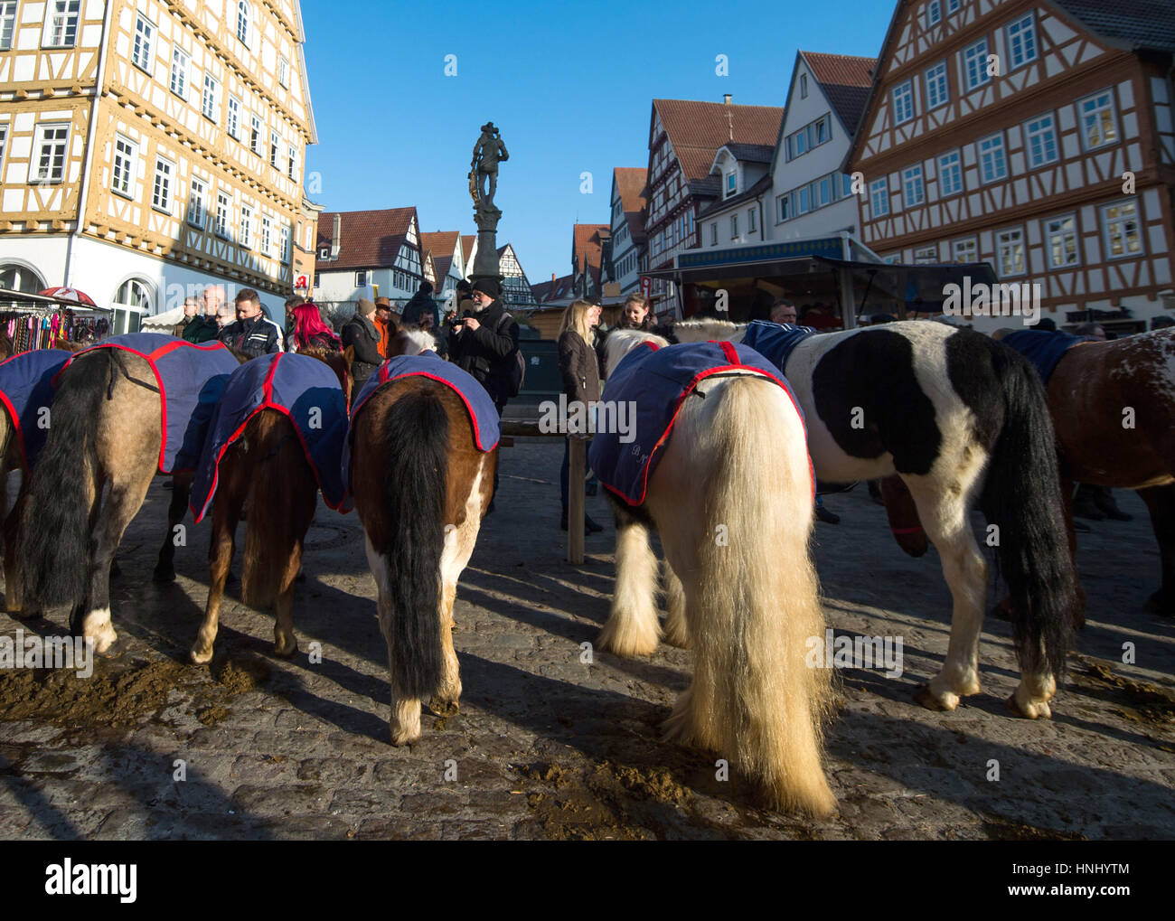 Leonberg, Germany. 14th Feb, 2017. Horses atand in a row at the horse ...