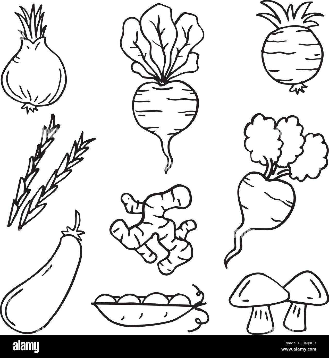 Doodle of vegetable vector art hand draw Stock Vector Image & Art - Alamy