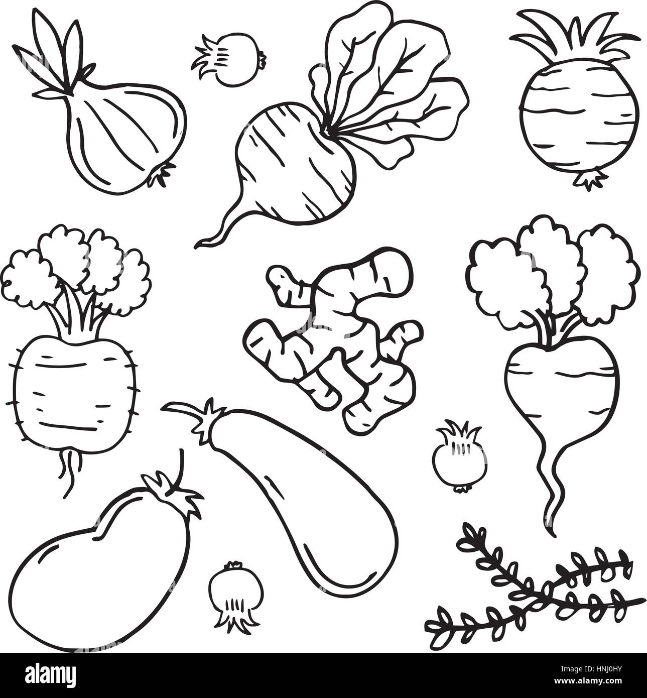 Vector illustration vegetable doodles collection hi-res stock ...