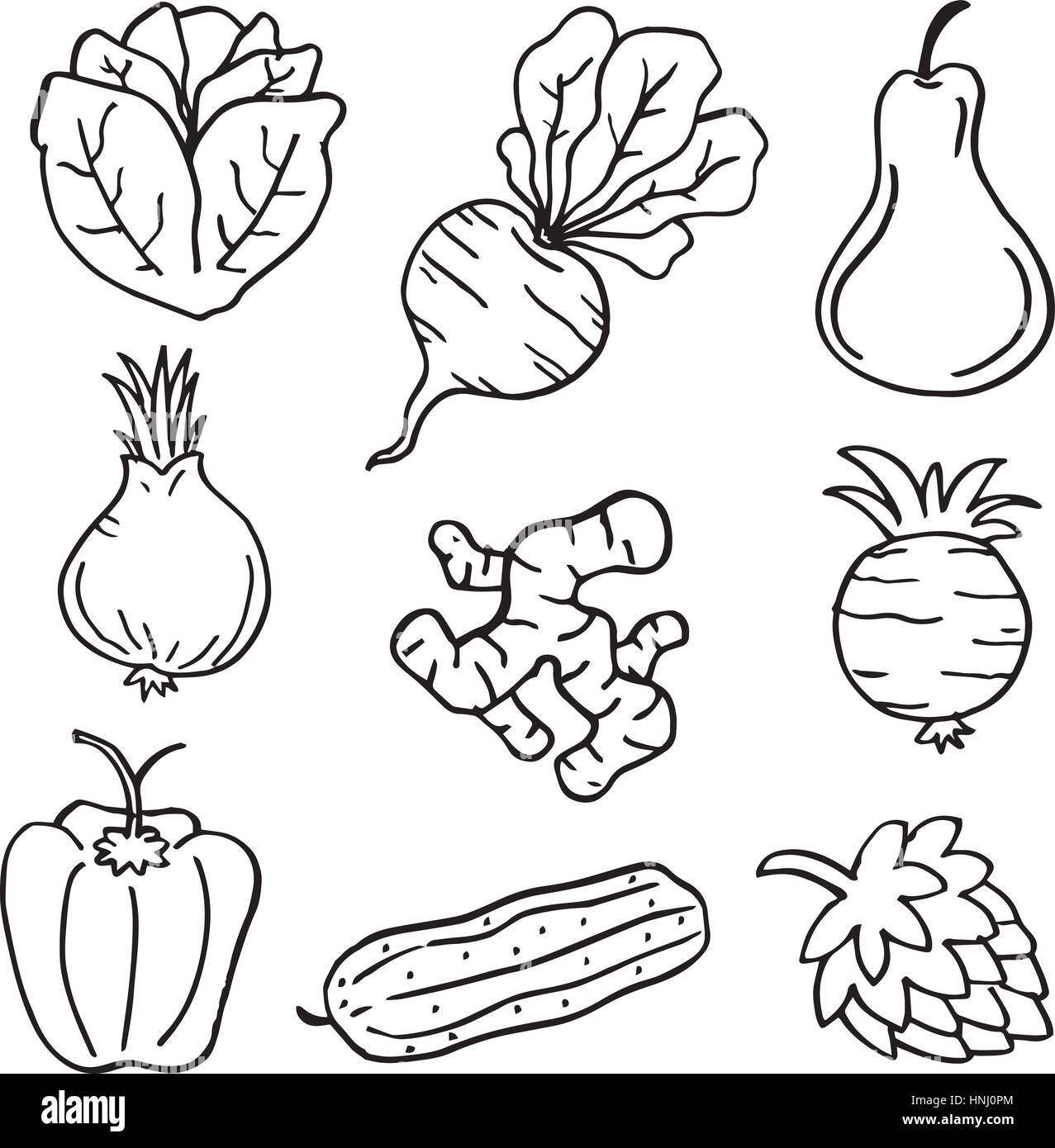 Hand draw doodle vegetable set vector art Stock Vector Image & Art - Alamy
