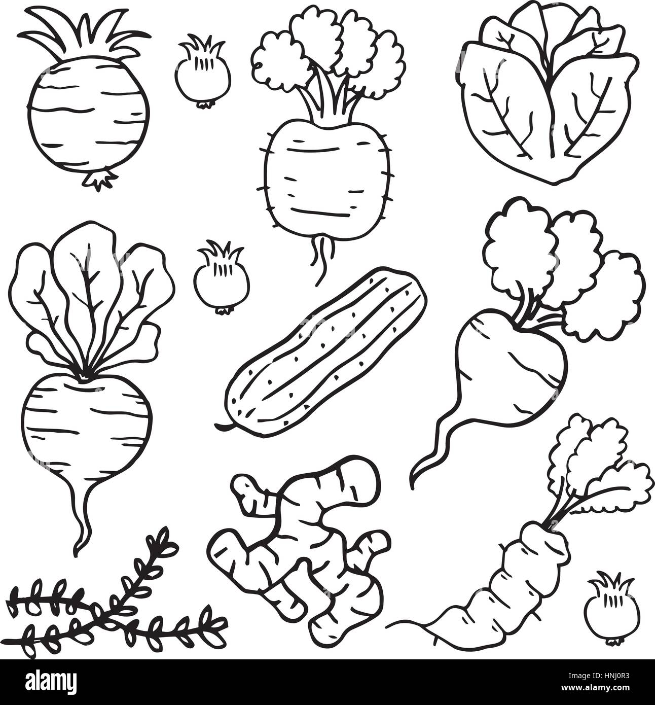 Hand draw of vegetables doodles vector art Stock Vector Image & Art - Alamy