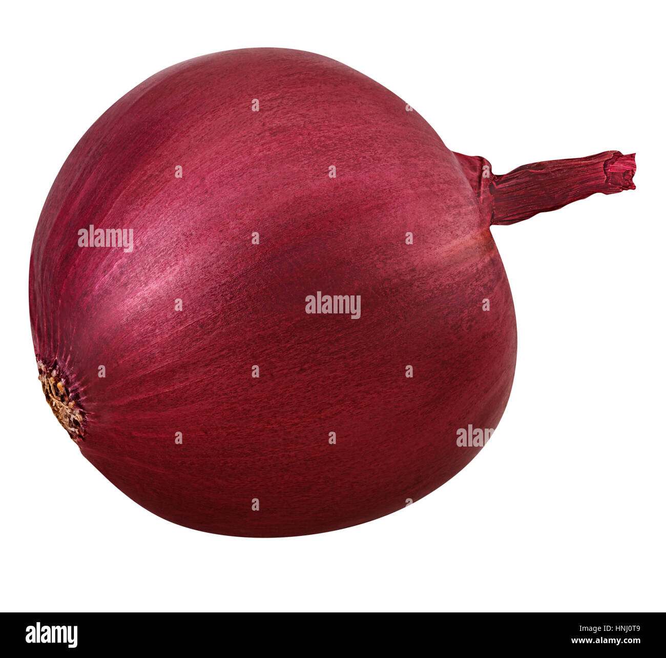 one bulb red onion isolated on white background clipping path Stock ...