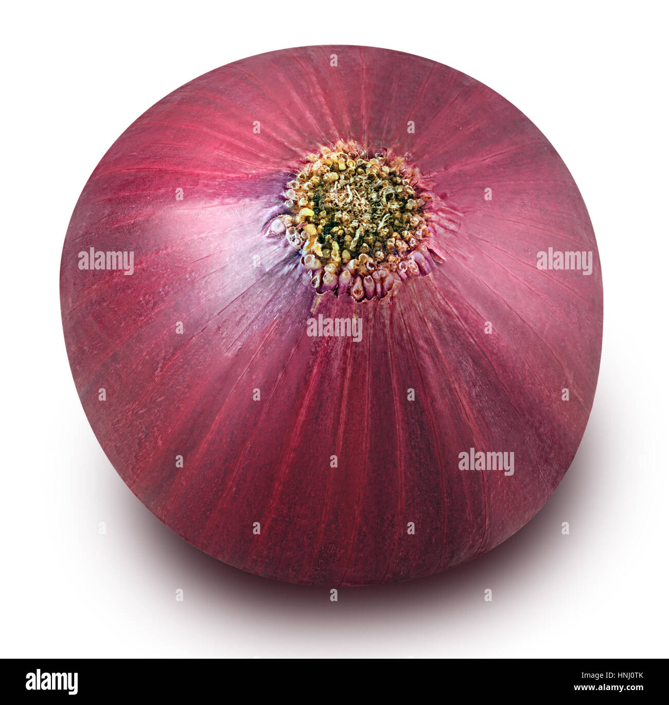 one bulb red onion isolated on white background clipping path Stock ...