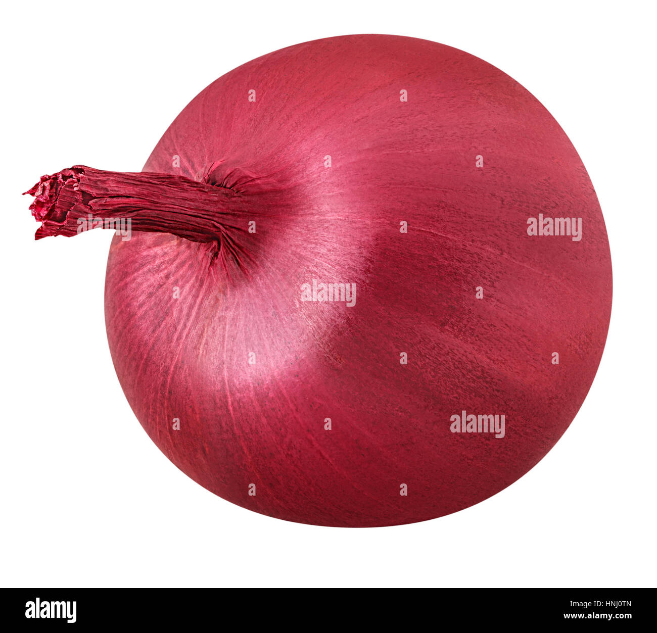 one bulb red onion isolated on white background clipping path Stock ...